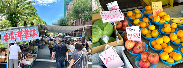 HALMEK up（ハルメクアップ）｜50代からの女性の毎日が面白くなるサイト