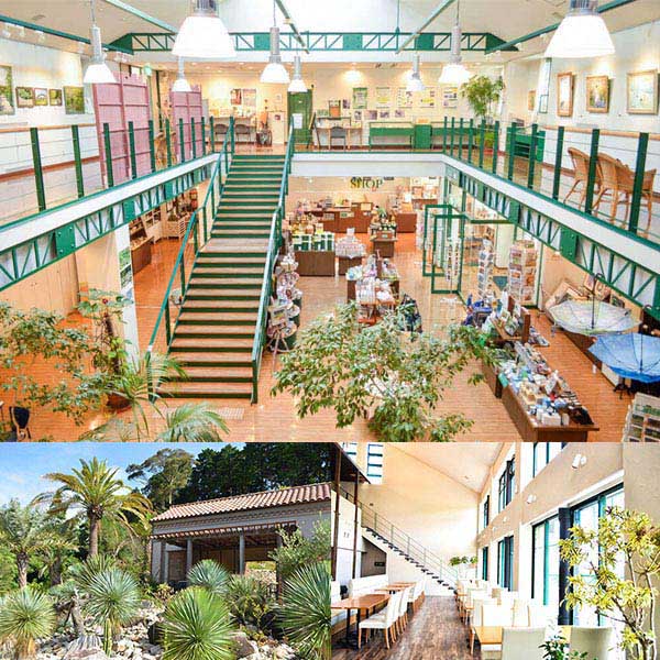 HALMEK up（ハルメクアップ）｜50代からの女性の毎日が面白くなるサイト